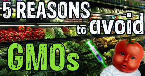 5 Reasons to Avoid GMO Foods